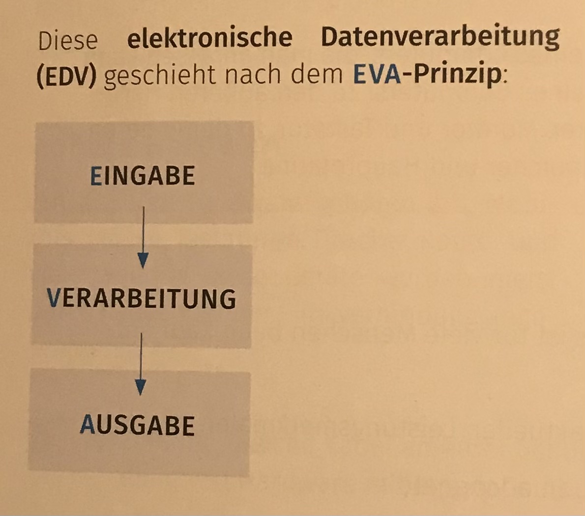 Das EVA-Prinzip – Learni